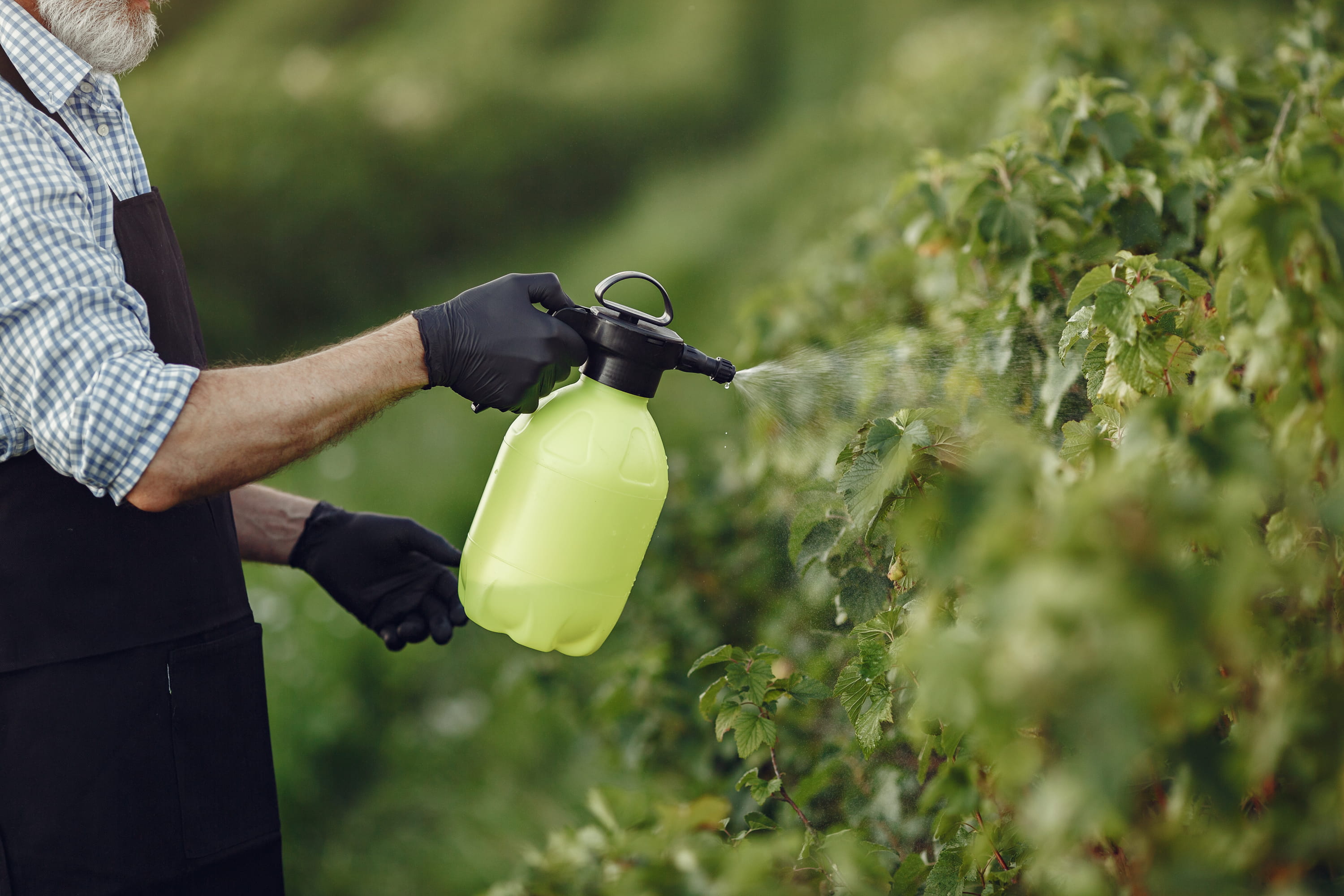 How to Protect Your Plants from Pests in a Community Garden | Blog Post ...